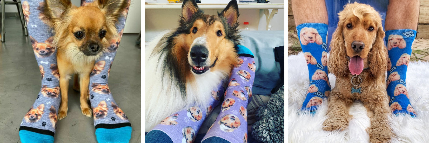 Put your Dog on Socks! - The Best Custom Dog Socks – DivvyUp
